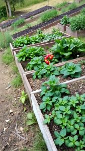 20 Creative Small Sloped Backyard Ideas to Maximize Your Space ...