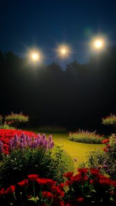 20 Stunning Backyard Lighting Ideas to Transform Your Outdoor Space ...