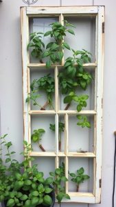 20 Creative Repurposed Window Planter Ideas for Your Garden - Upcycled ...